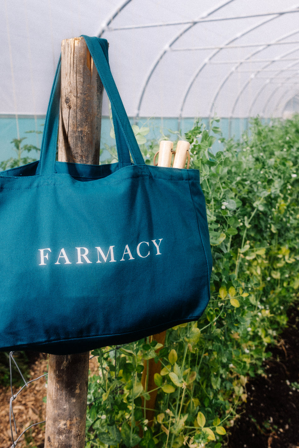 Products - Farmacy